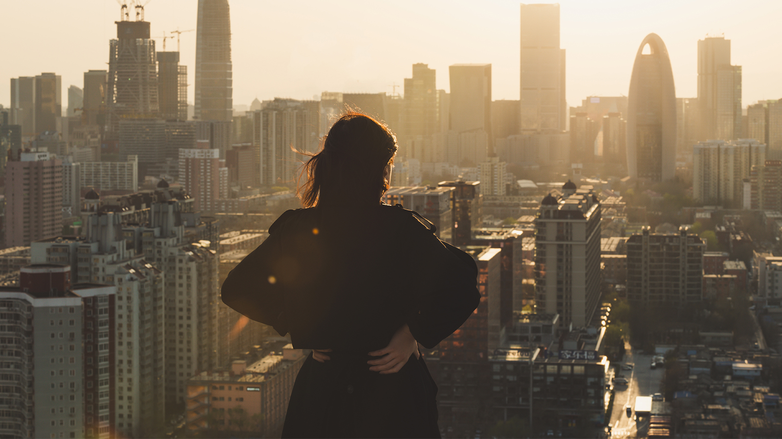 Portfolio Leadership Development Program HAL Investments