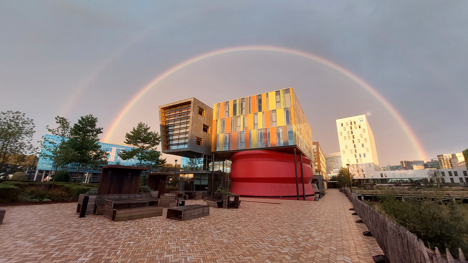 Head of Engineering - Top of Minds EN