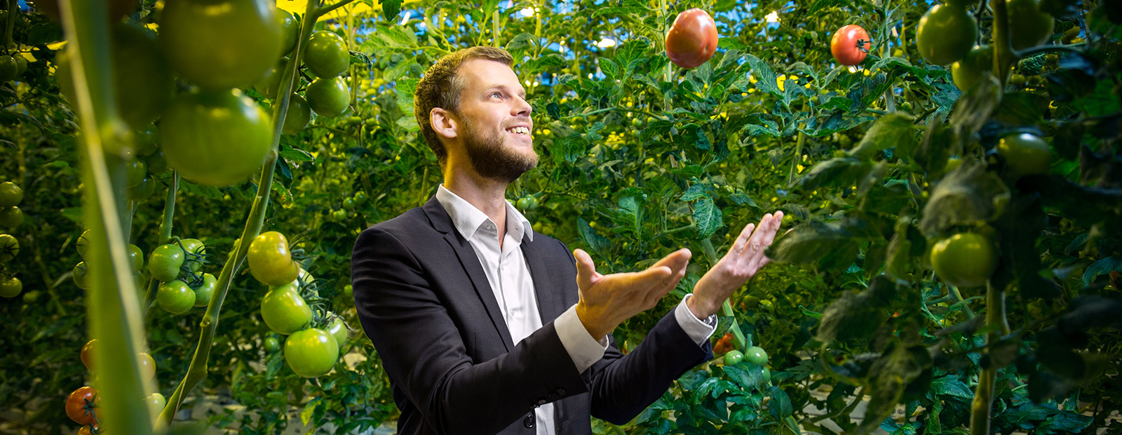 Vacature: Account Manager | Top of Minds