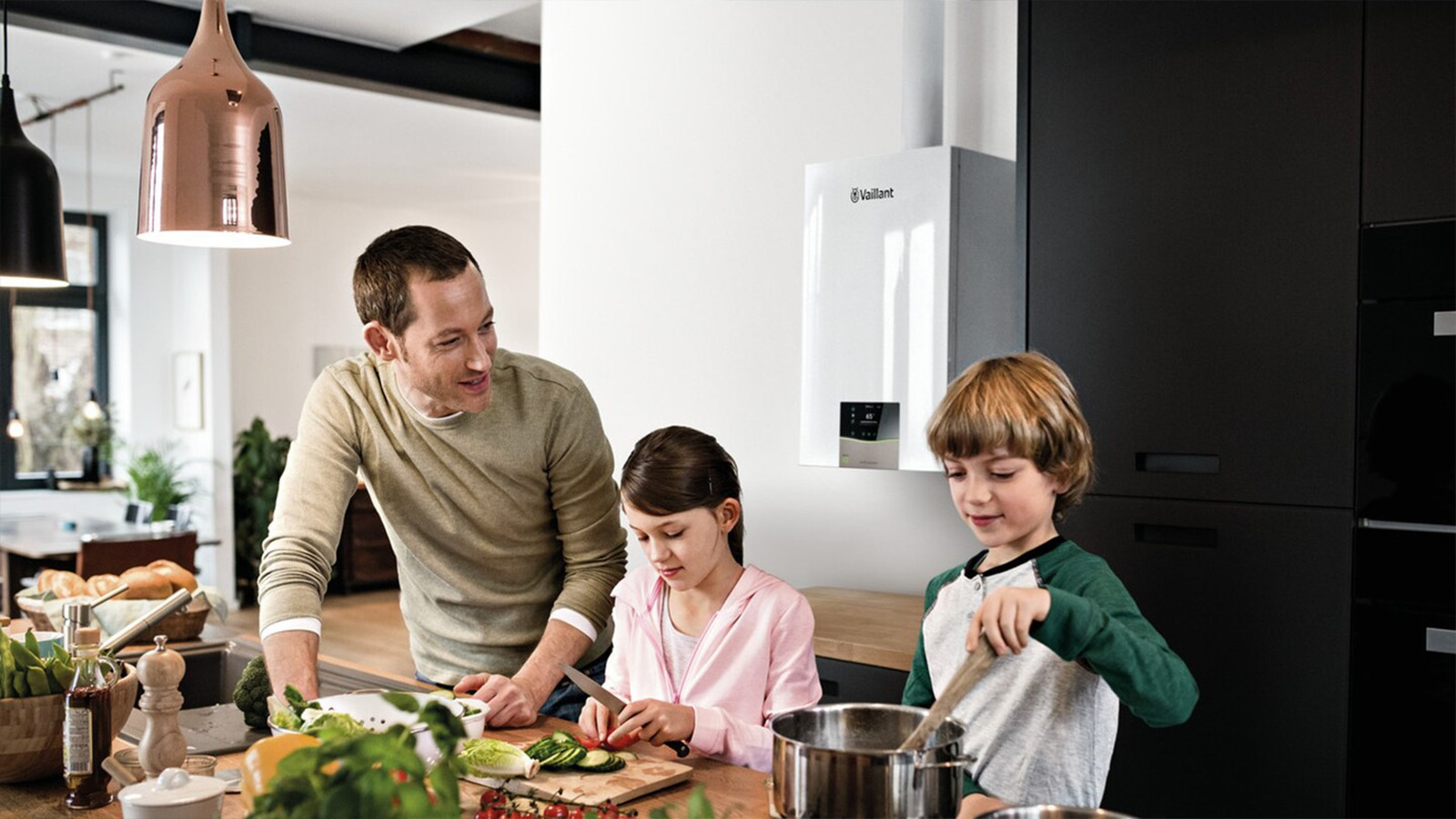 Commercial Excellence Manager bij Vaillant Group | Top of Minds