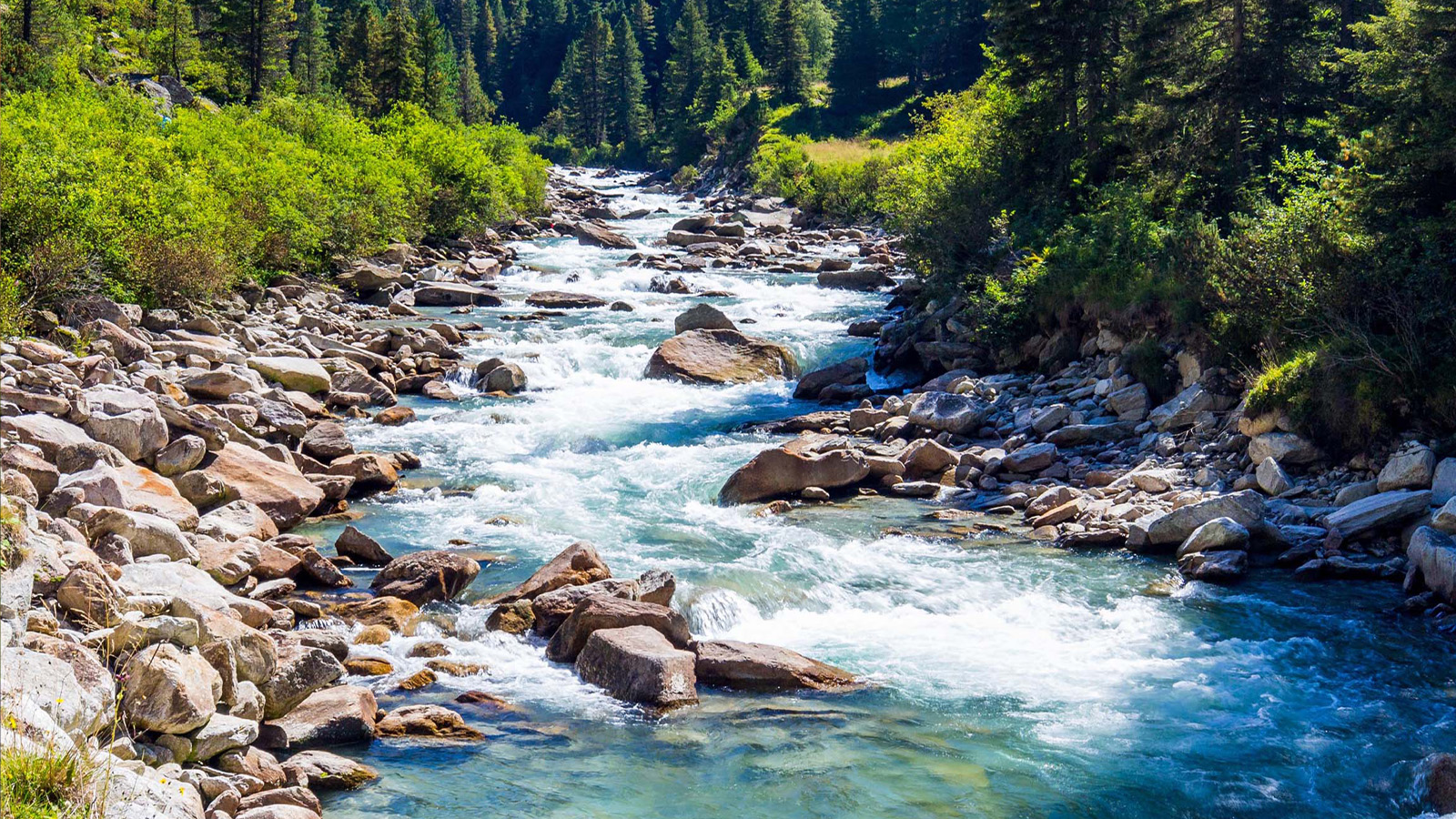 Vacature: Investment Associate | Top of Minds