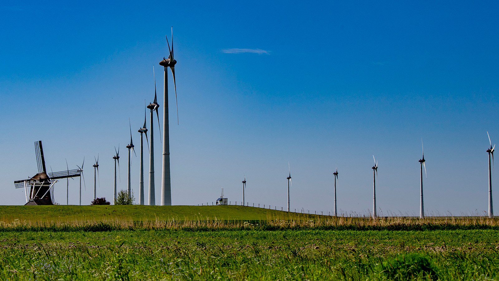 Vacature: Chief Transition Officer bij Stedin | Top of Minds